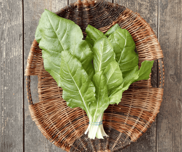 Grow Your Own Beetroot & Chard – Winnow Farm Seeds