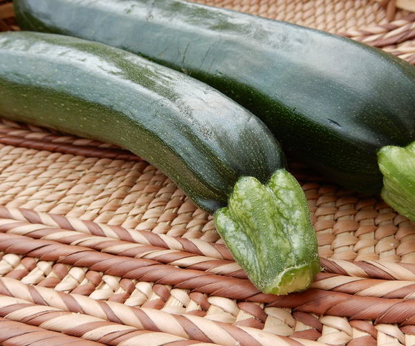 Courgette, Squash & Pumpkins – Winnow Farm Seeds