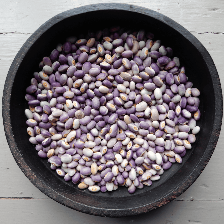 Winnow Farm - Seeds Saved and Sold - Grow your Garden – Winnow Farm Seeds